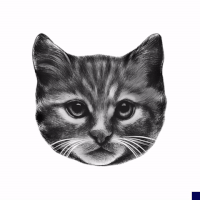 Minimum GIFs - Get the best gif on GIFER