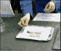 Decomposition GIFs - Get the best gif on GIFER