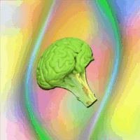 Brocoli GIFs - Get the best gif on GIFER