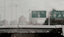 Rooftoppers GIFs - Get the best gif on GIFER