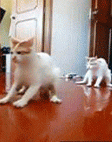 Frictionless гифки, анимированные GIF изображения frictionless ...