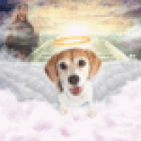 Gulping GIFs - Get the best gif on GIFER