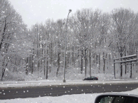 Snowy GIFs - Get the best gif on GIFER