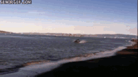 Hovercraft GIFs - Get the best gif on GIFER