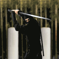 Ninja GIFs - Get the best gif on GIFER
