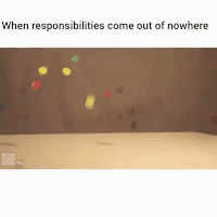 Semester GIFs - Get the best gif on GIFER