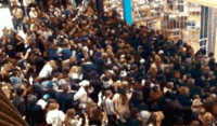 It crowd GIFs - Get the best gif on GIFER