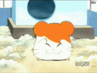 Hamtaro GIFs - Get the best gif on GIFER