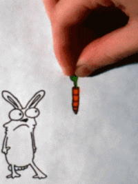 Animalitos GIFs - Get the best gif on GIFER