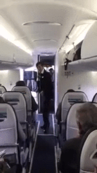 Flights GIFs - Get the best gif on GIFER