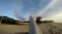 Pelicans GIFs - Get the best gif on GIFER