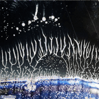 Lcd GIFs - Get the best gif on GIFER