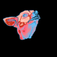 30fps GIFs - Get the best gif on GIFER