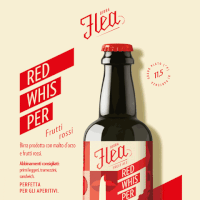 Birra GIFs - Get the best gif on GIFER