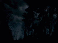Wolfman GIFs - Get the best gif on GIFER