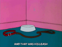 Leash GIFs - Get the best gif on GIFER