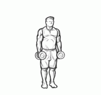 Biceps GIF - Conseguir o melhor gif em GIFER