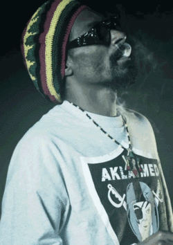 Rasta hat GIF - Conseguir el mejor gif en GIFER