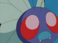 Butterfree GIFs - Get the best gif on GIFER