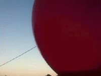 Helium GIFs - Get the best gif on GIFER