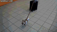 Luggage GIFs - Get the best gif on GIFER
