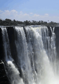 Environment GIFs - Get the best gif on GIFER