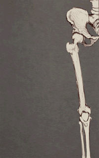 Мышцы GIFs - Get the best gif on GIFER