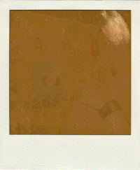 Polaroid GIFs - Get the best gif on GIFER