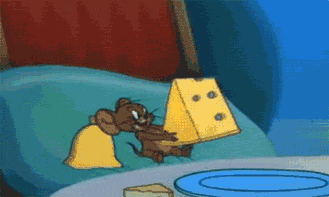 Cheese GIFs - Get the best gif on GIFER