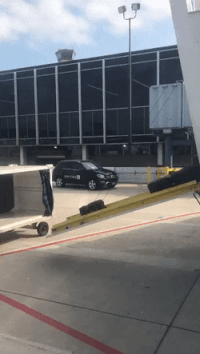 Baggage GIFs - Get the best gif on GIFER