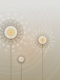 Dandelion GIFs - Get the best gif on GIFER