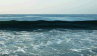 Vague GIFs - Get the best gif on GIFER