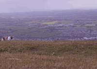 Hike GIFs - Get the best gif on GIFER