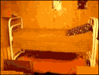 Copy paste GIFs - Get the best gif on GIFER