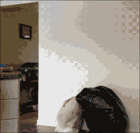 Experiment gone wrong GIFs - Get the best gif on GIFER