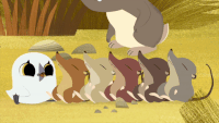 Shrew GIFs - Get the best gif on GIFER