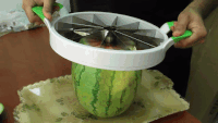 Melon GIFs - Get the best gif on GIFER