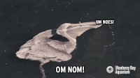Predictions GIFs - Get the best gif on GIFER