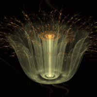 Fountain GIFs - Get the best gif on GIFER