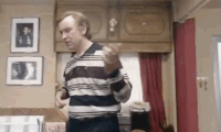 Partridge GIFs - Get the best gif on GIFER