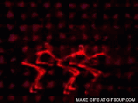 Tribe GIFs - Get the best gif on GIFER