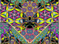 Unexplained GIFs - Get the best gif on GIFER