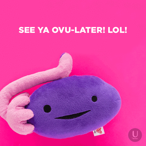 Laughing ovary GIFs - Obtenez le meilleur gif sur GIFER
