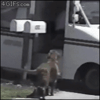 Mail GIFs - Get the best gif on GIFER
