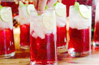 Cranberries GIFs - Get the best gif on GIFER