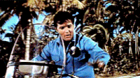 Clambake GIFs - Get the best gif on GIFER
