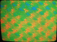 Iridescent GIFs - Get the best gif on GIFER