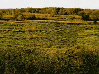 Prairie GIFs - Get the best gif on GIFER