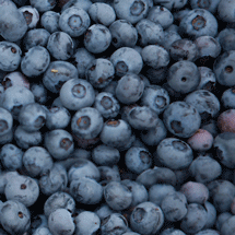 Blueberry GIFs - Get the best gif on GIFER