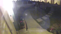 Burglars GIFs - Get the best gif on GIFER